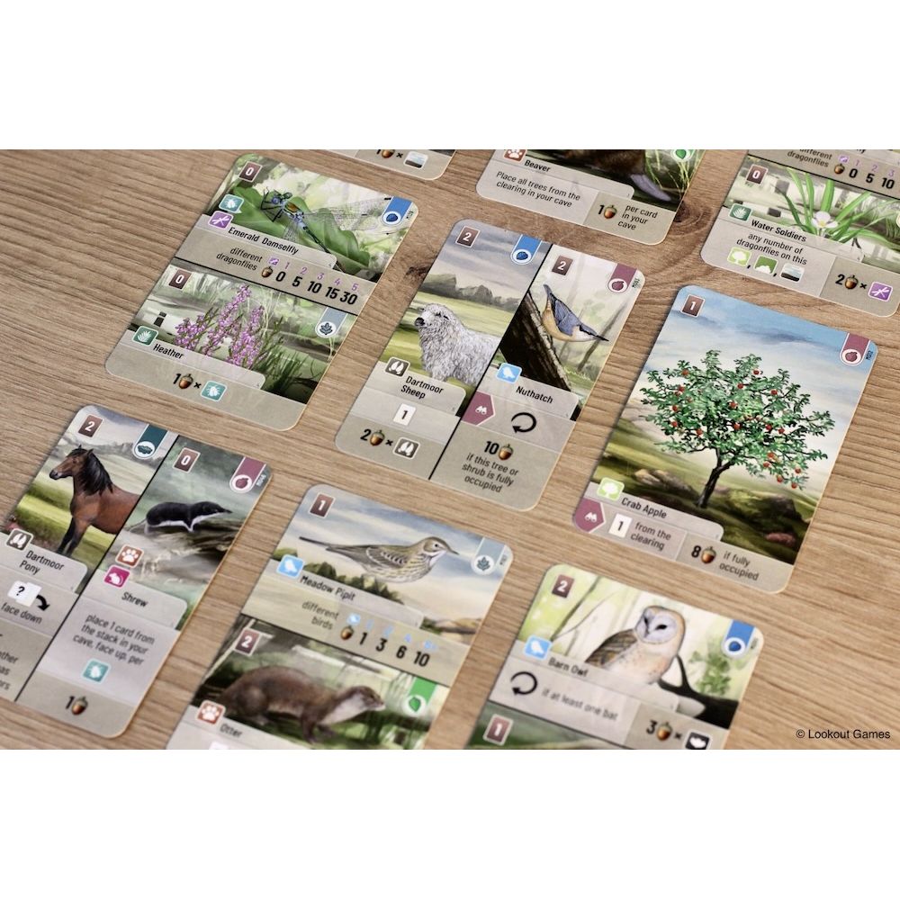 Forest Shuffle Dartmoor – Vault Games