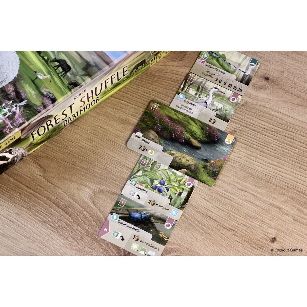 Forest Shuffle Dartmoor – Vault Games
