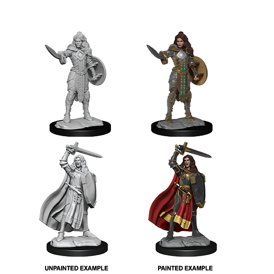 Human Champion She/Her - Pathfinder Deep Cuts – Vault Games