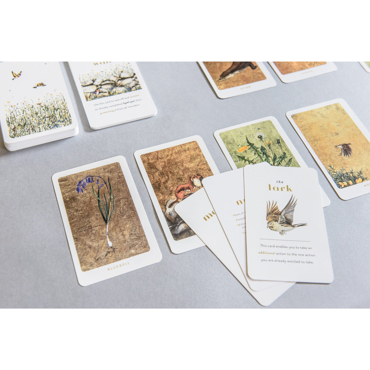 The Lost Words Card Game – Vault Games